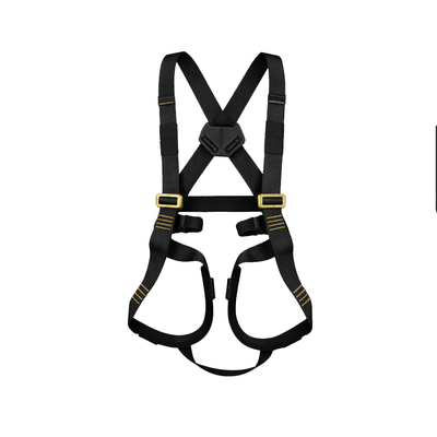 Certified Full‑Body Harnesses & Climbing Safety Equipment | Fusion Climb